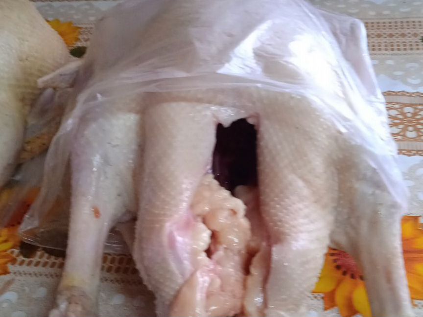 Гуси и индаутки от 650ру