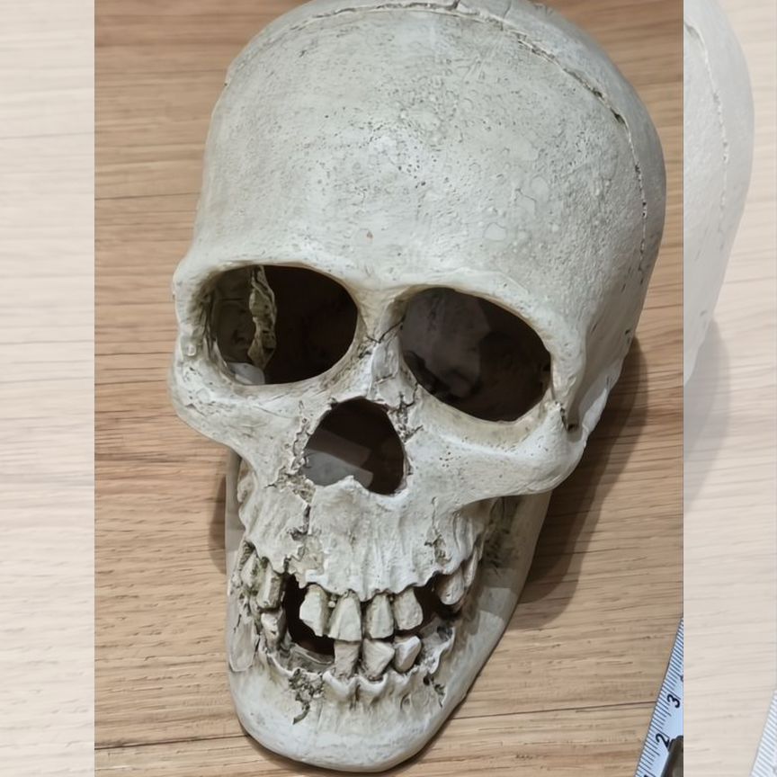 Декор для аквариума череп