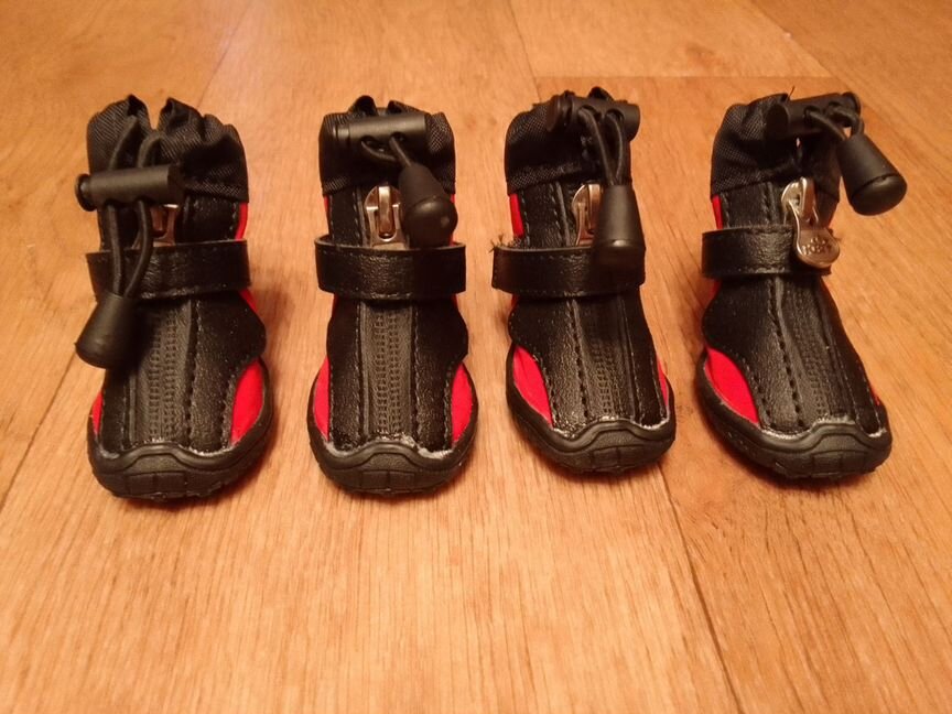 Ботинки для собак