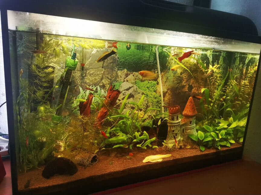 Аквариум