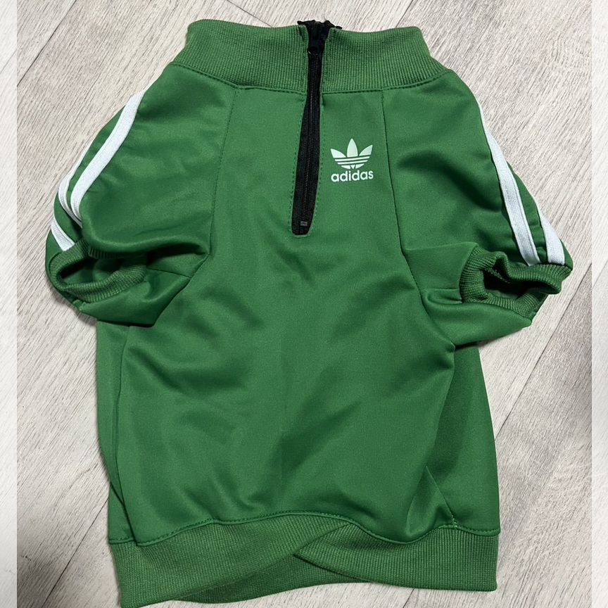 Одежда до собак маленьких пород