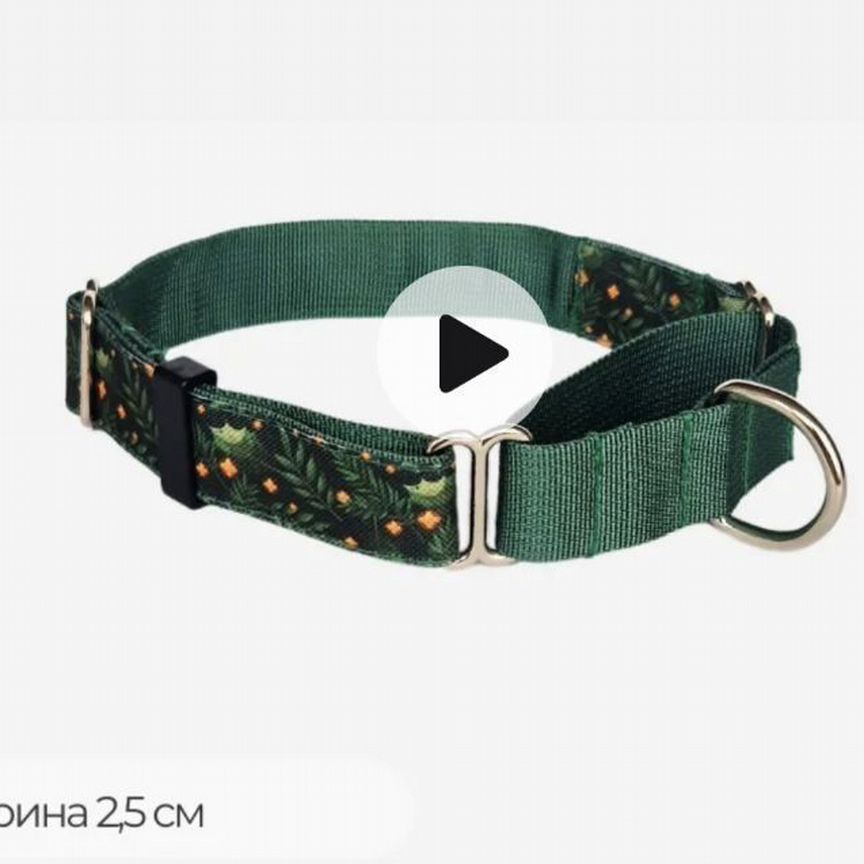 Ошейник и поводок