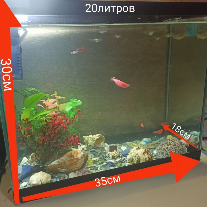 Аквариум 20л  калька иск.водоросли  ракушки