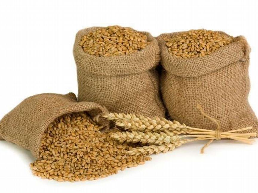 Корма для сельскохозяйственных животных