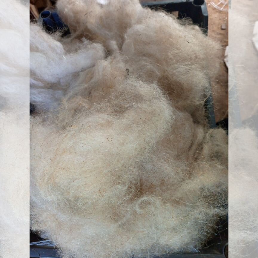 Шерсть овечья