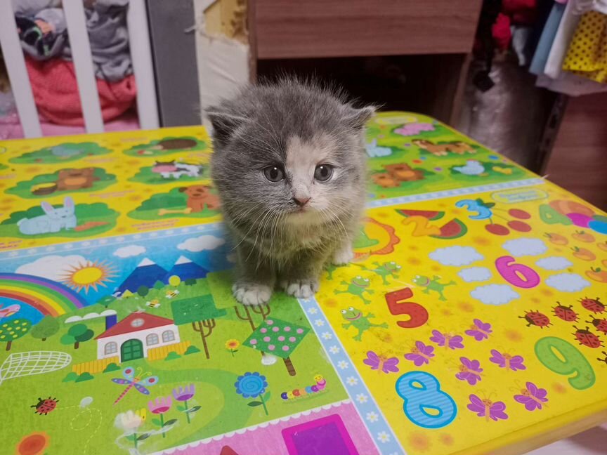 Комочек счастья)