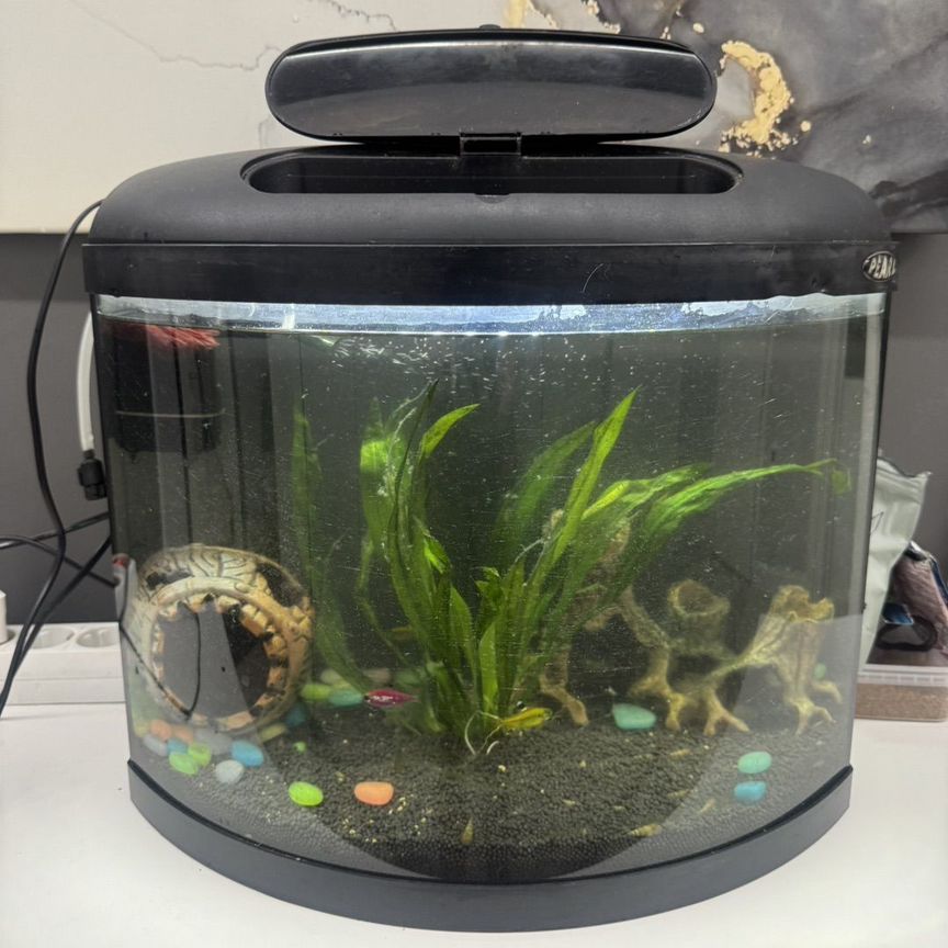 Аквариум с рыбками