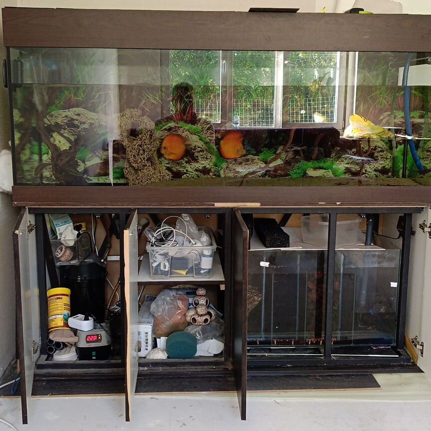 Аквариум с тумбой 500 литров с сампом и рыбками
