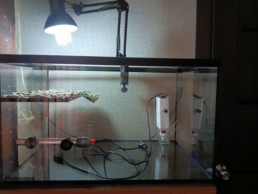 Аквариум черепашник