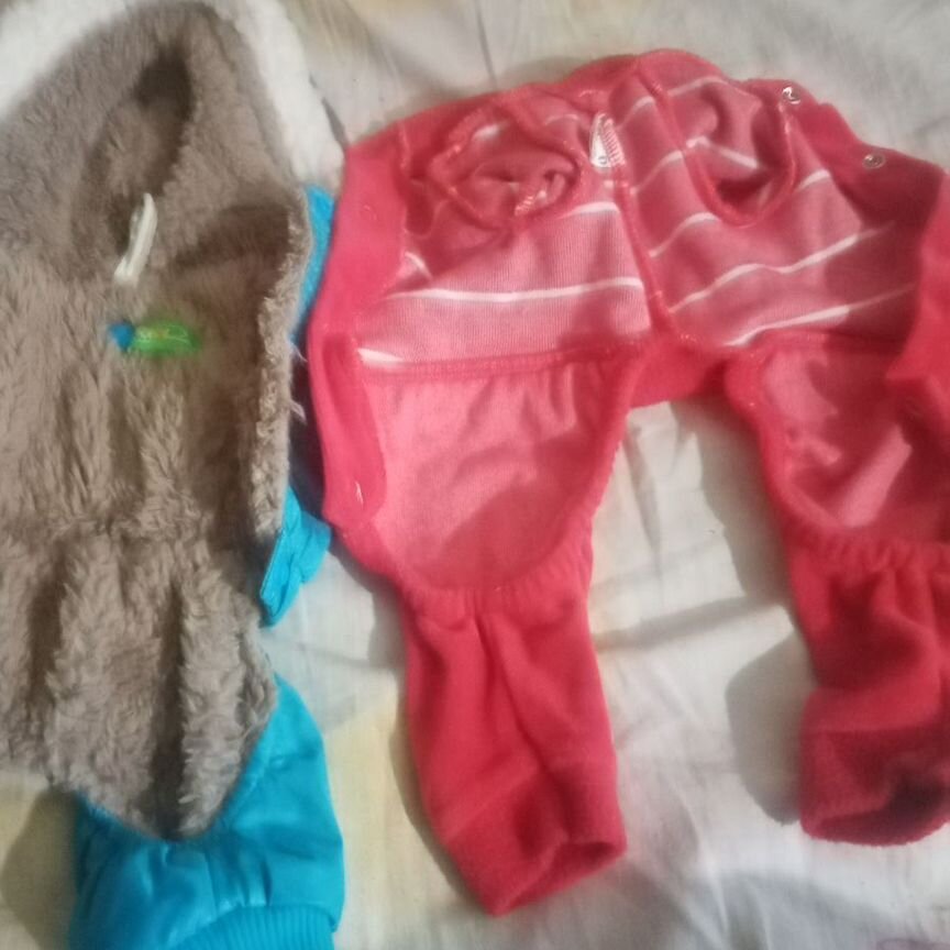 Одежда для маленьких собак