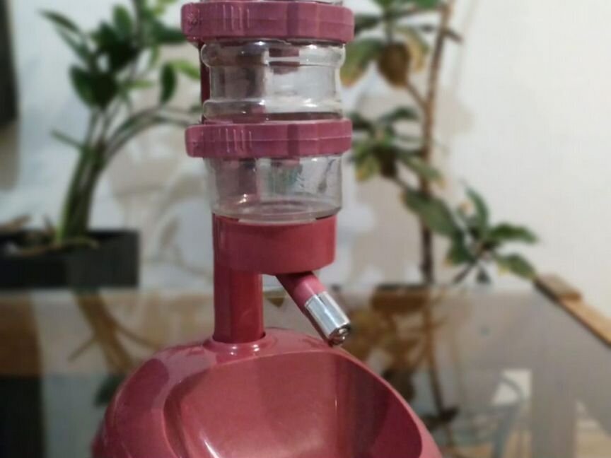 Поилка "Сухие усы" для собак