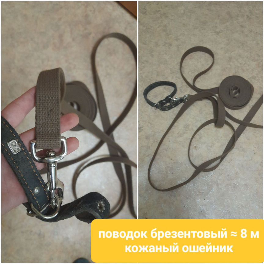 Поводок брезентовый 8м, поводок цепочка 1м