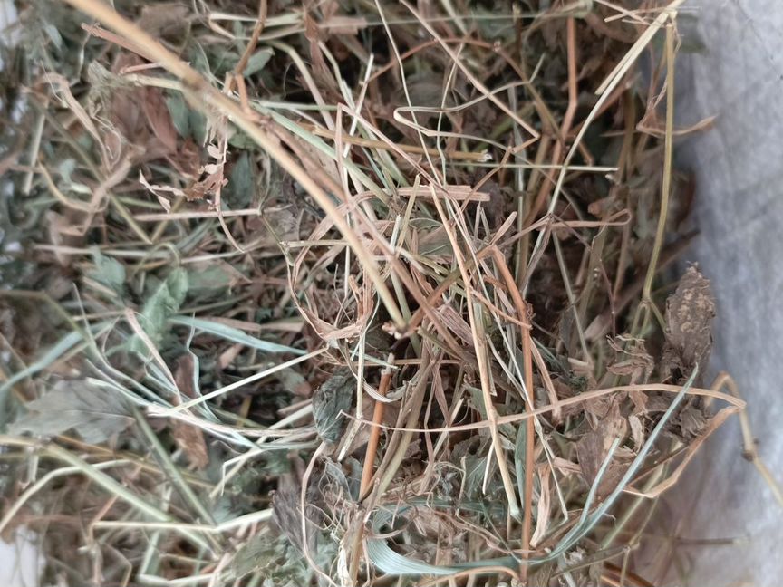 Сено для домашних животных