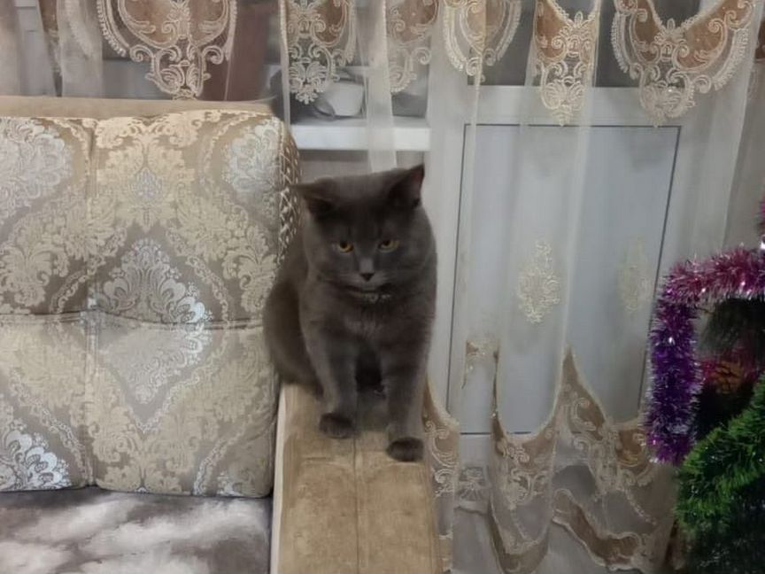 Сергея есенина 42