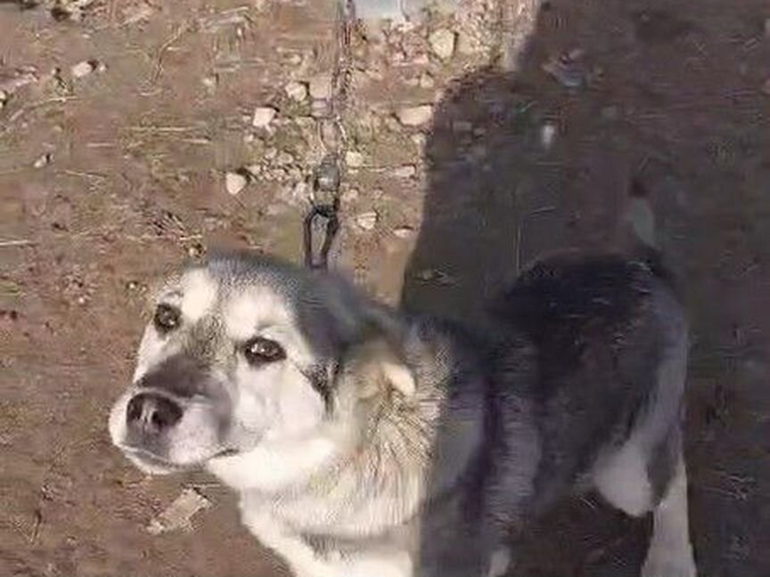 Малышка ищет семью
