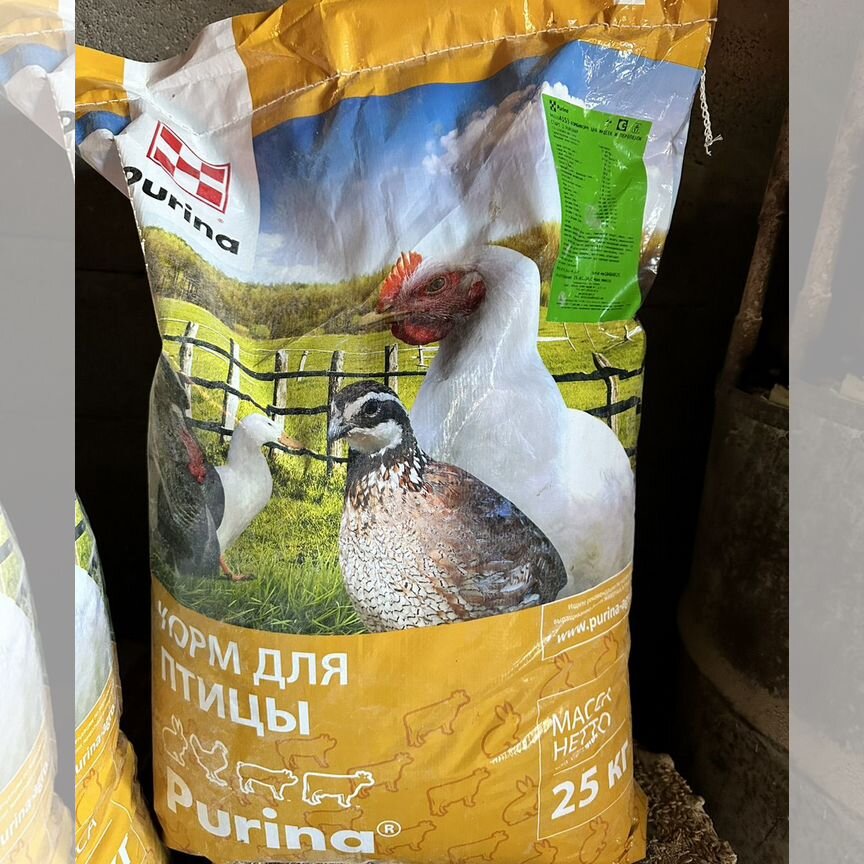 Комбикорм для индюков
