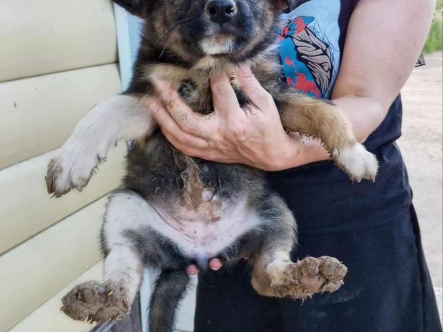 Малыши-карандаши