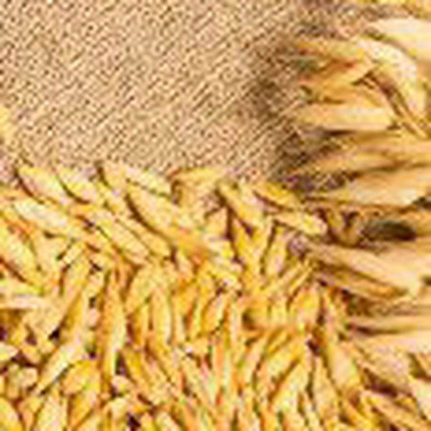 Овес 2 мешка