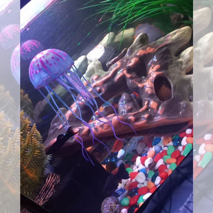 Декорации для аквариума