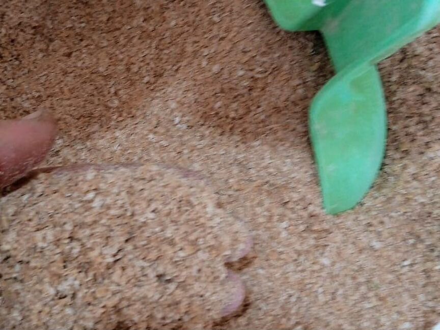 Отруби пшеничные