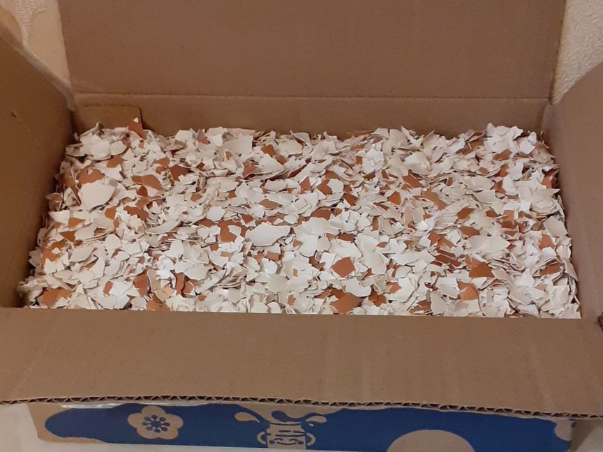 Скорлупа от куриных яиц