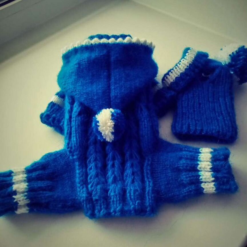 Одежда для животных