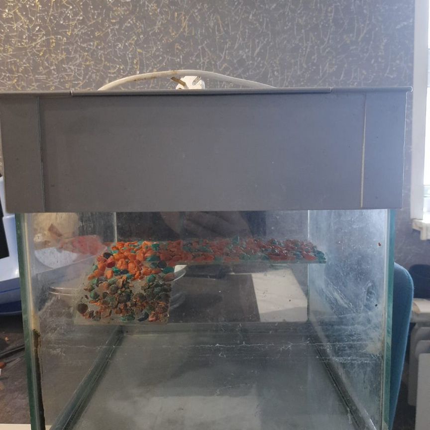 Аквариум черепашник