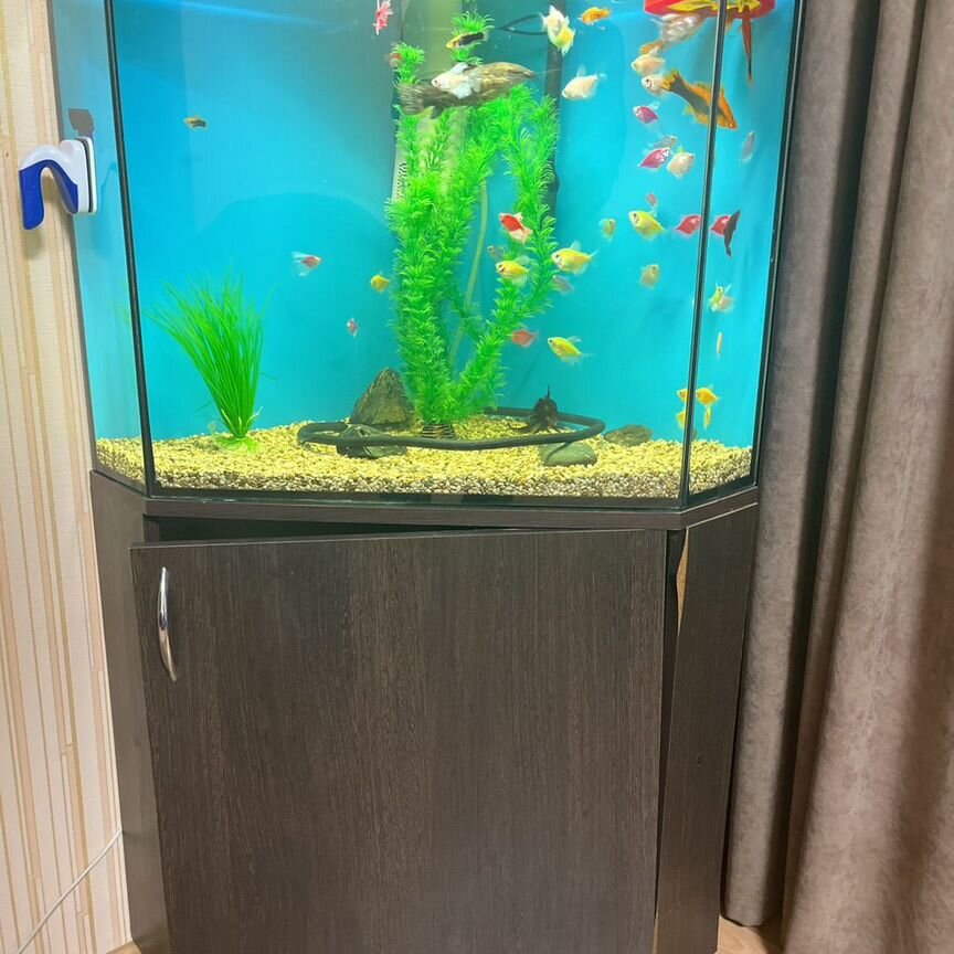 Аквариум с рыбками 80 л