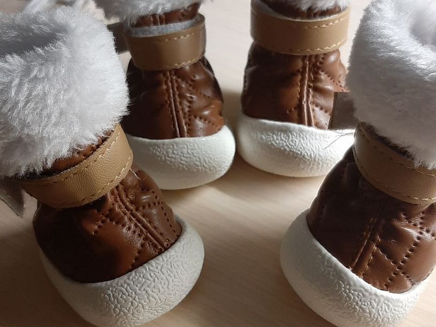 Обувь для собак