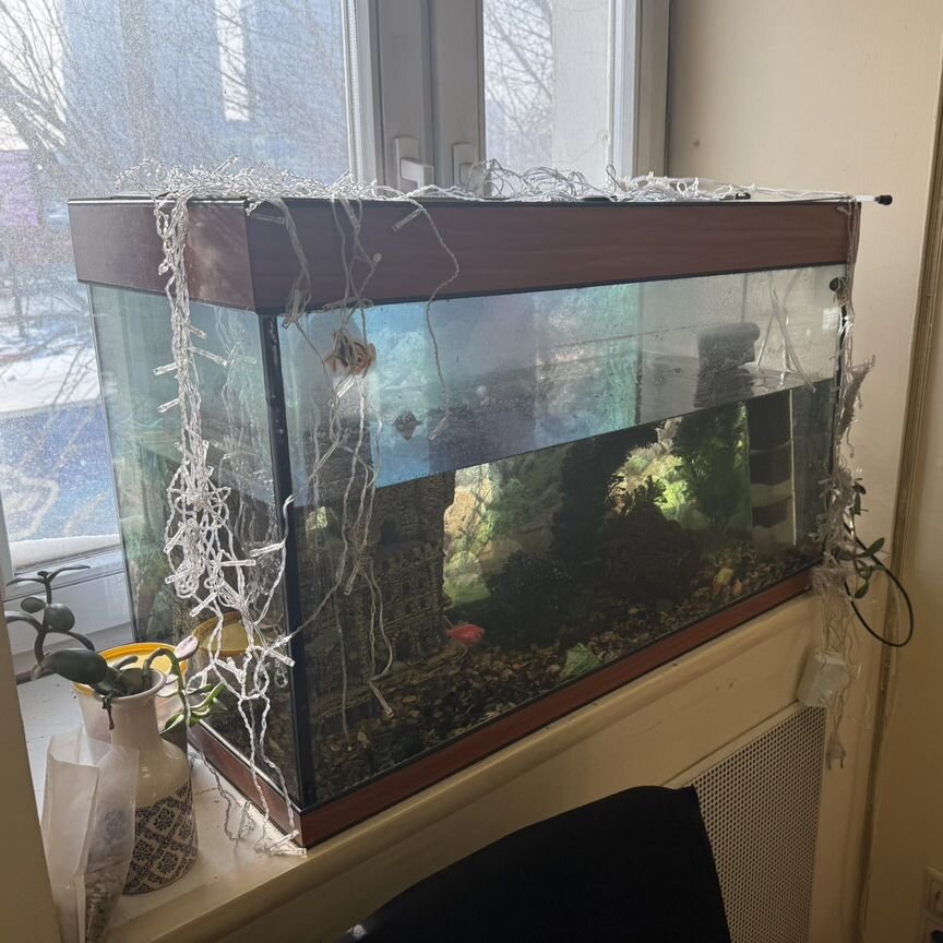 Аквариум с рыбками бу