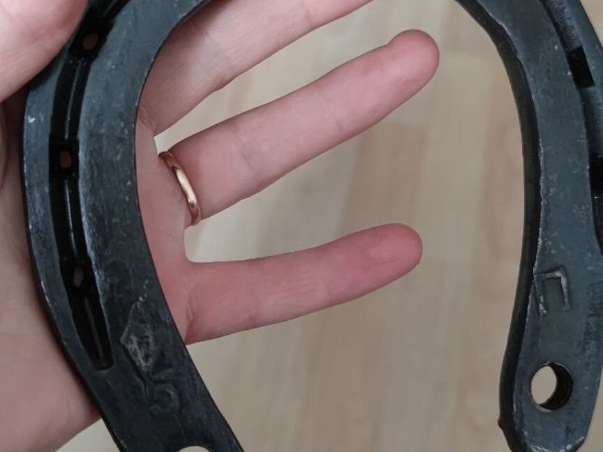 Подкова для лошади