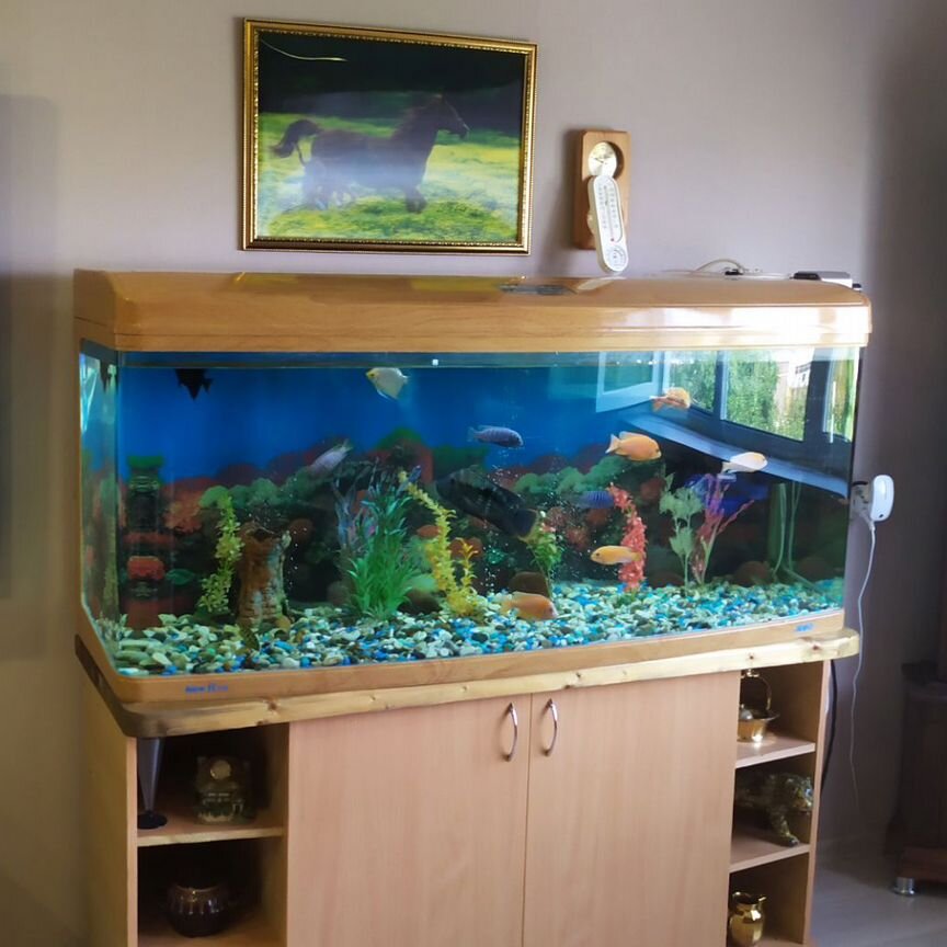 Аквариум Jebo 3150 рыбками