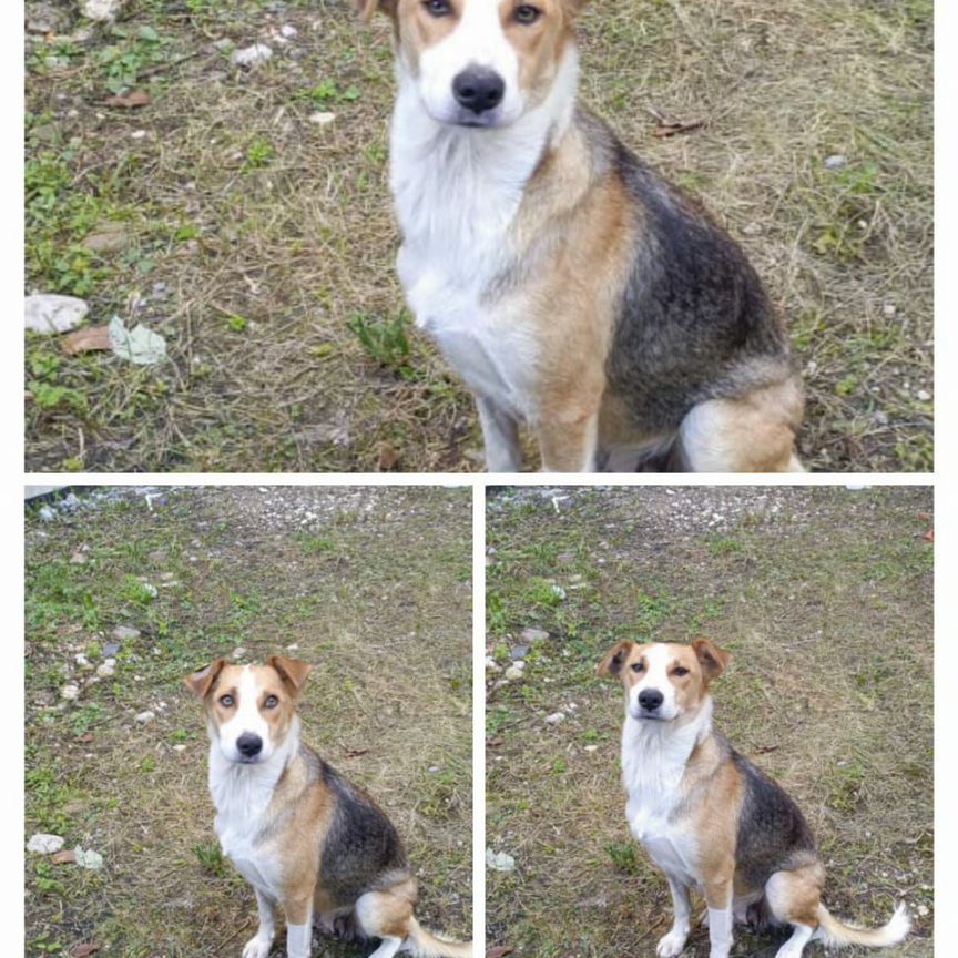 Очень нуждается в семье