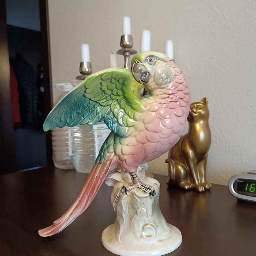 Попугай фарфоровый