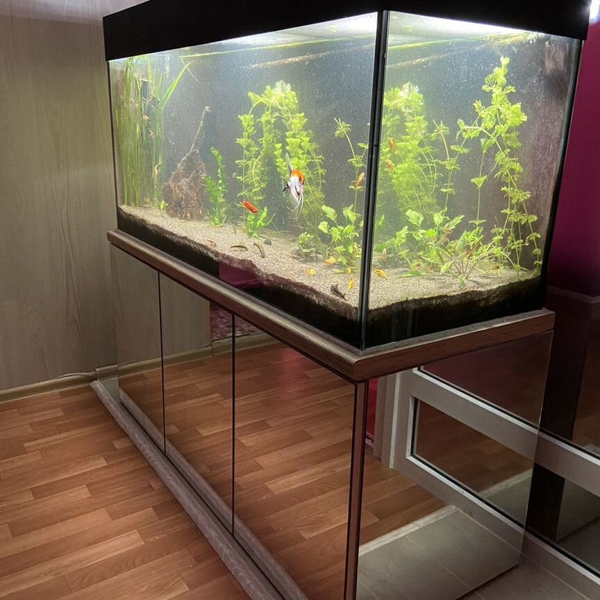 Аквариум 390 л. с тумбой