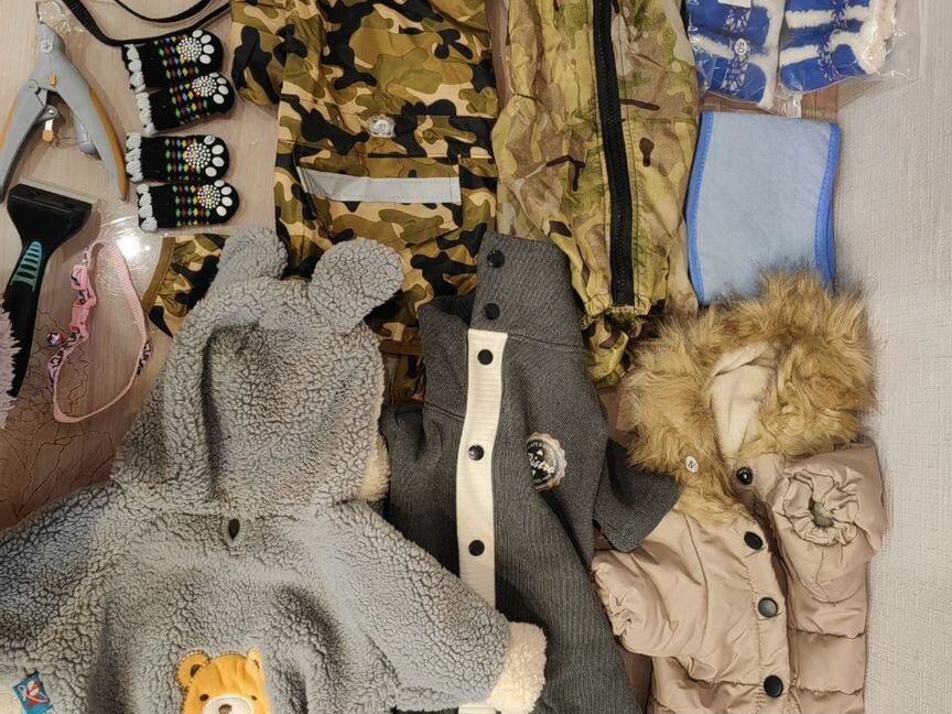 Домашние животные собаки щенки