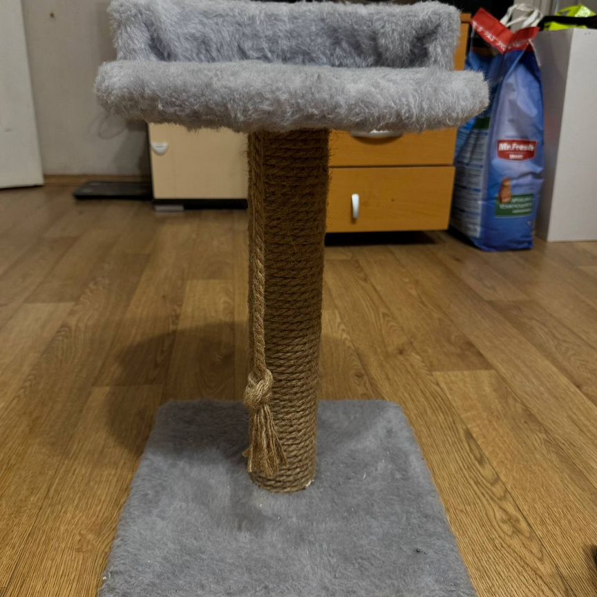 Когтеточка для кошки