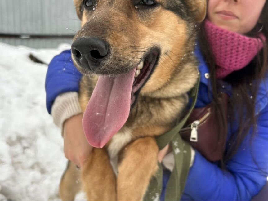 Заберите меня домой