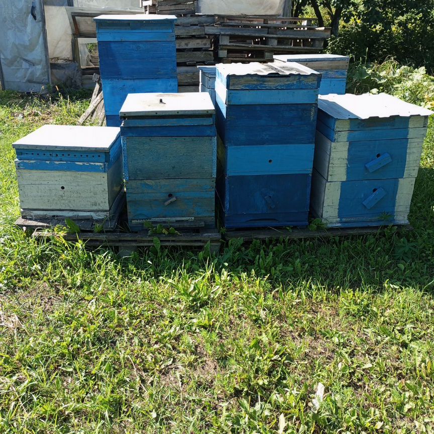 Продам ульи для пчел цена договорная