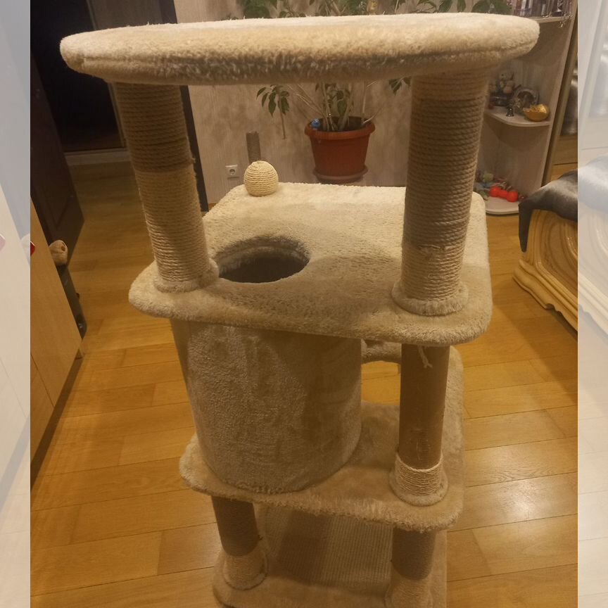 Когтеточка с домиком высокая