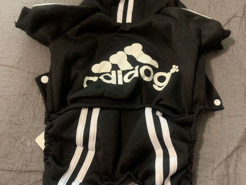 Костюм для собаки маленькой породы