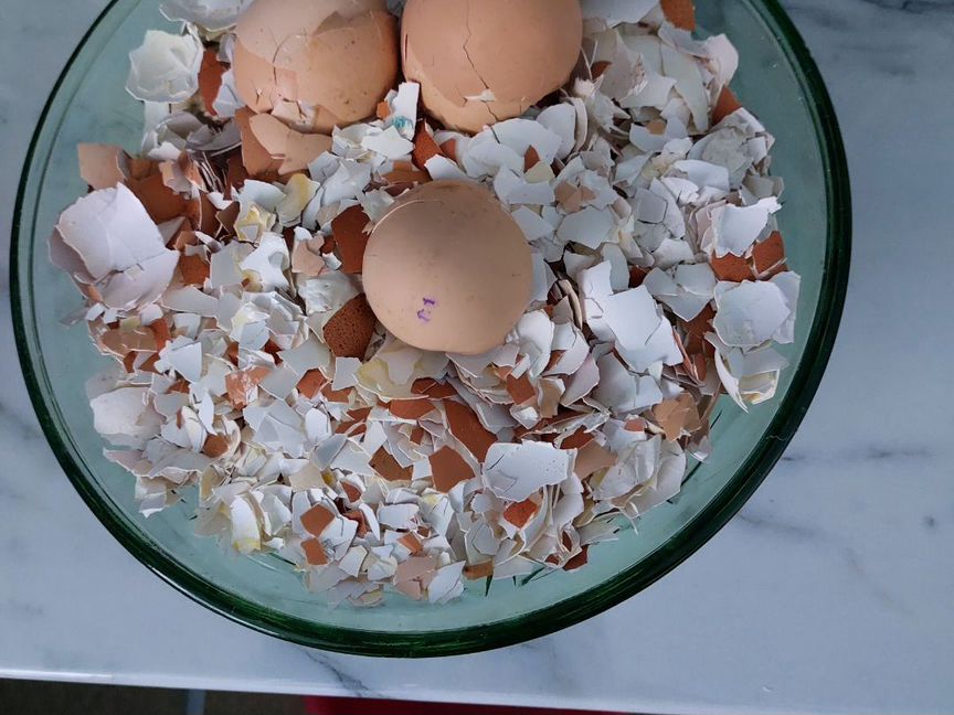 Яичная скорлупа
