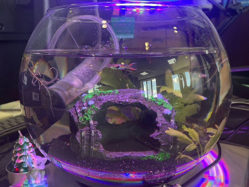 Аквариум с рыбками