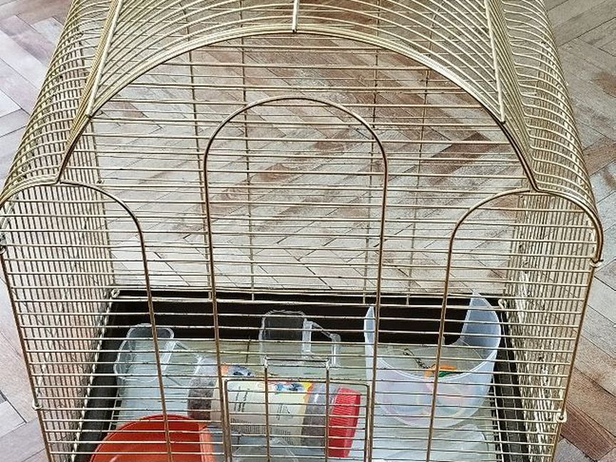 Клетка для попугая