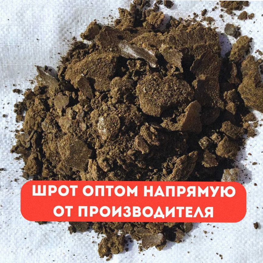 Шрот подсолнечный оптом ГОСТ