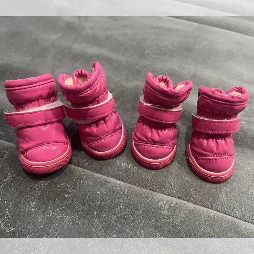 Ботинки для собак