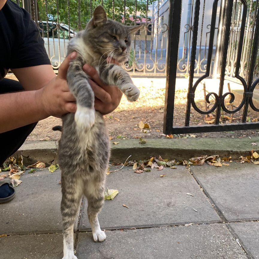 Клёпик 1,5года