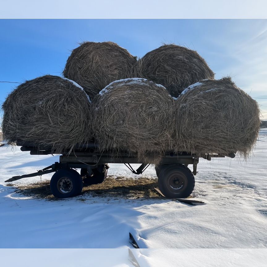 Продам сено в рулонах