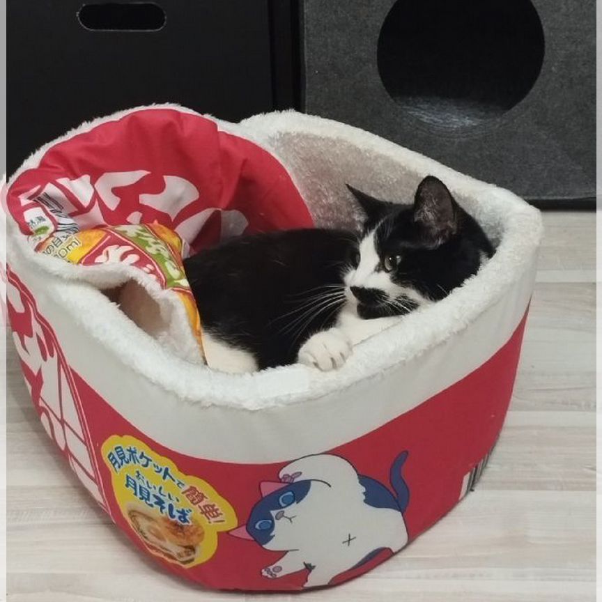 На доставке Лежанка для животных