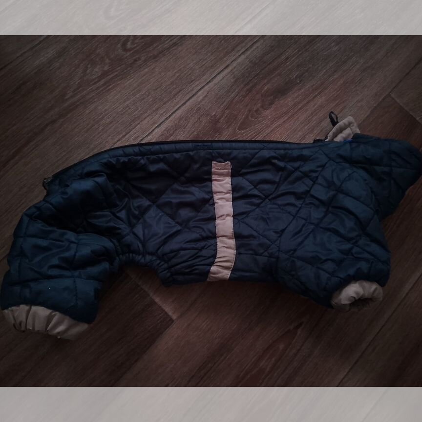 Одежда для собак